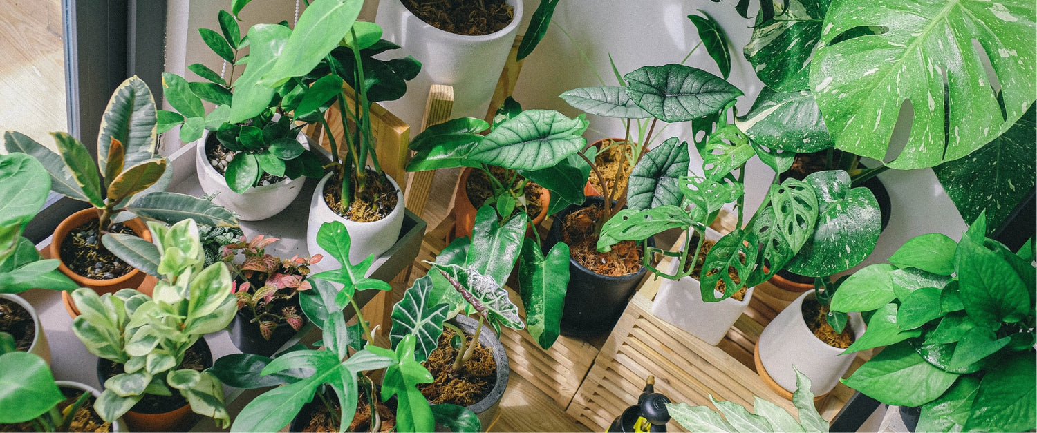 Plantmate Gardening | Fertilizer & Potting Soil – Retail & Wholesale ...